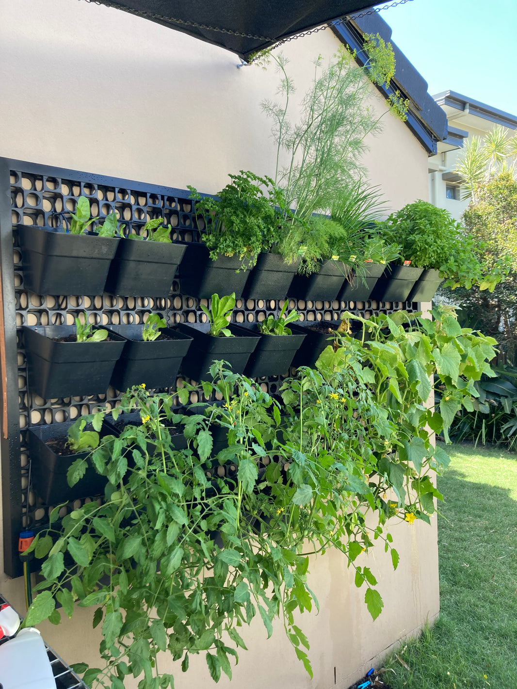 Vertical Gardens & Green Plant Walls