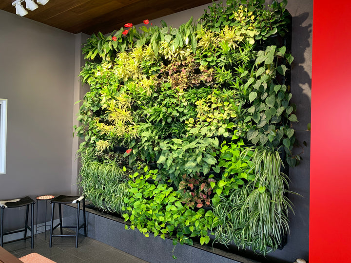 Vertical Gardens & Green Plant Walls