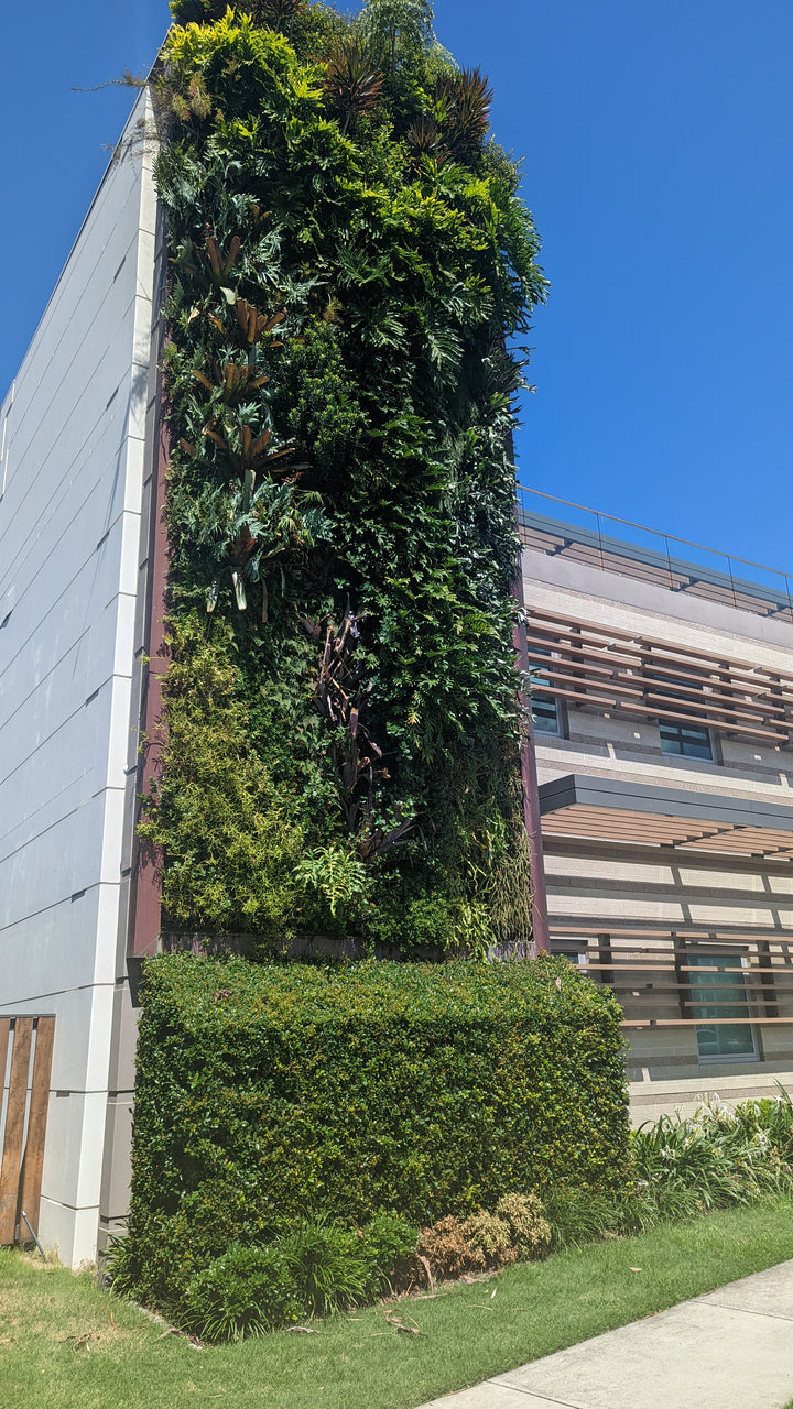 Vertical Gardens & Green Plant Walls