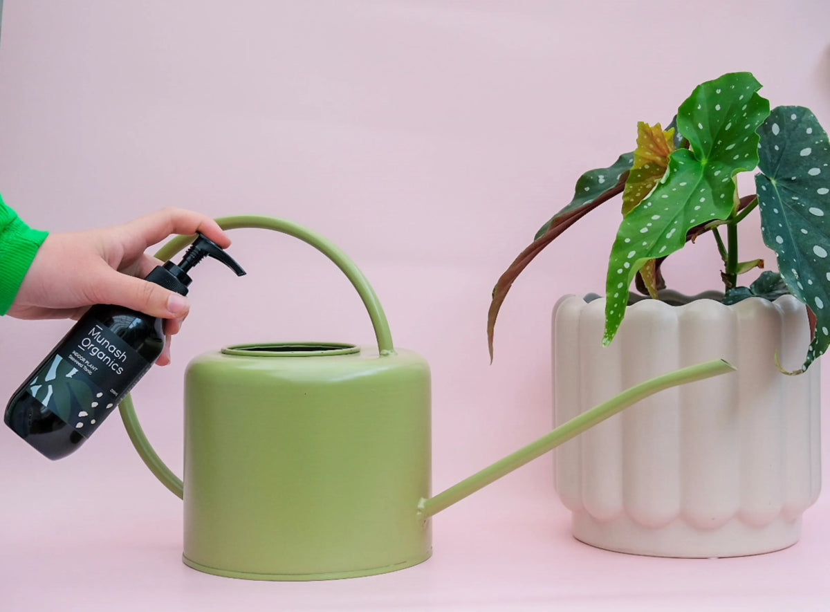 Organic Plant Food | Seaweed Tonic